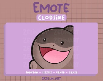 Cute Clodsire - Etsy