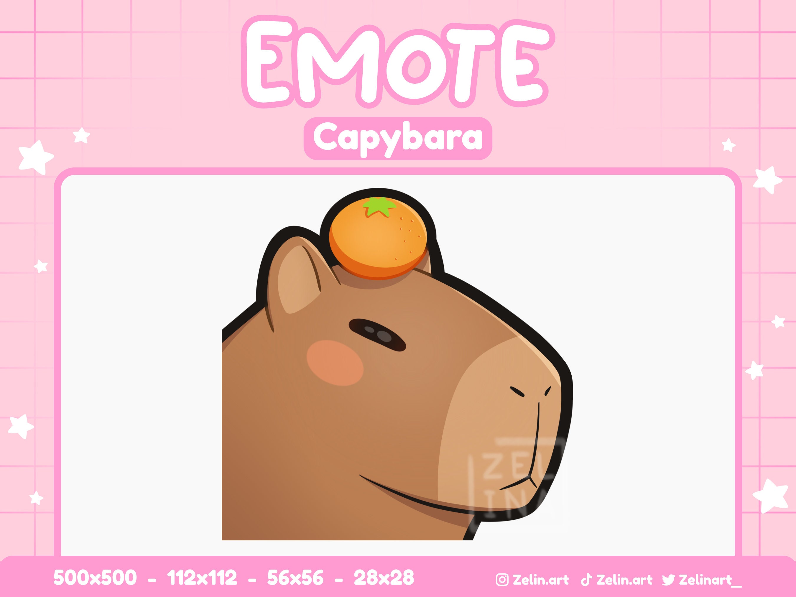 Capybara Mandarin Emote for Twitch Discord and Youtube - Etsy Australia