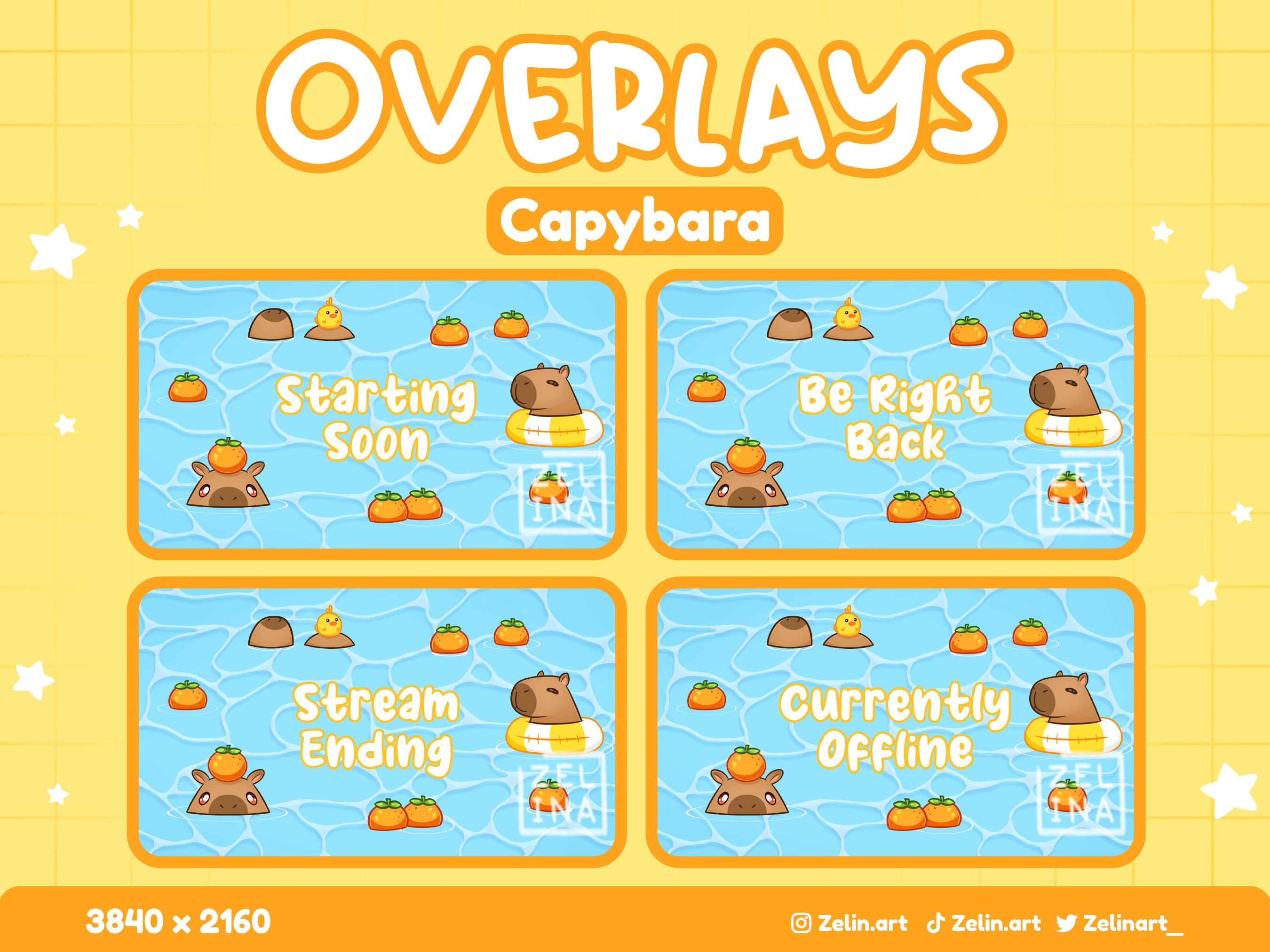 ANIMATED Capybara Overlays and Scenes for Twitch Starting, BRB, Ending ...