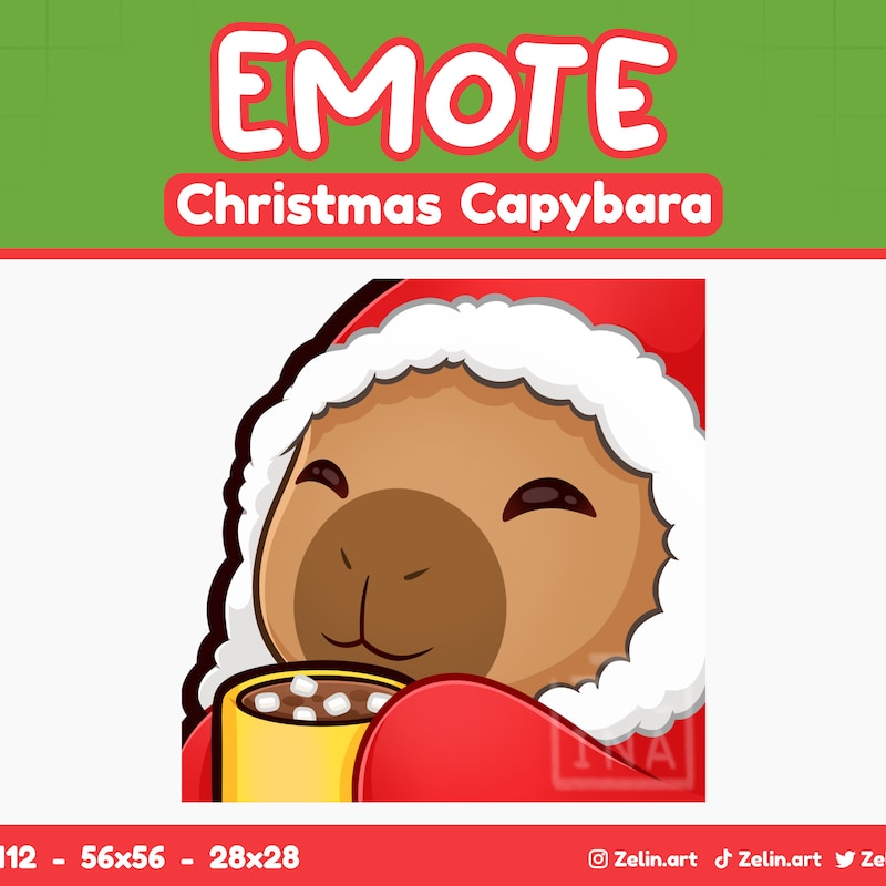 Capybara Blanket - Etsy