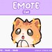 Orange Cat Sparkle Woah | Emote for Twitch, Discord and Youtube ...