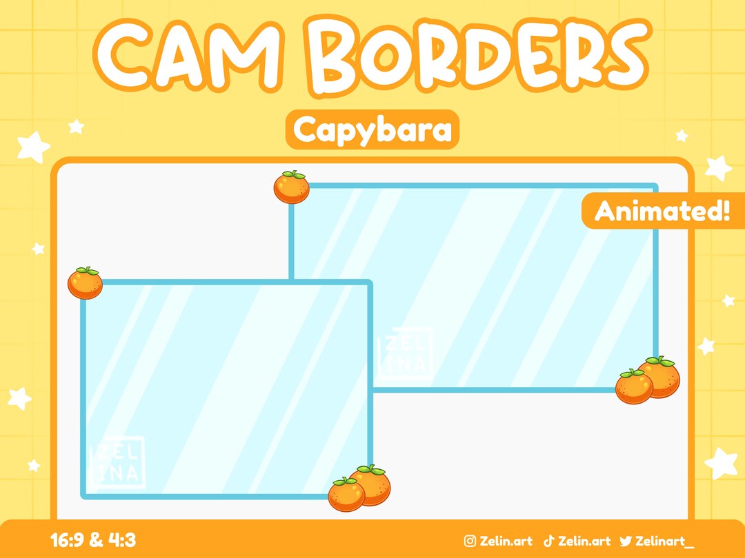 ANIMATED Capybara | Webcam Borders for Twitch and Youtube | 16x9 and ...