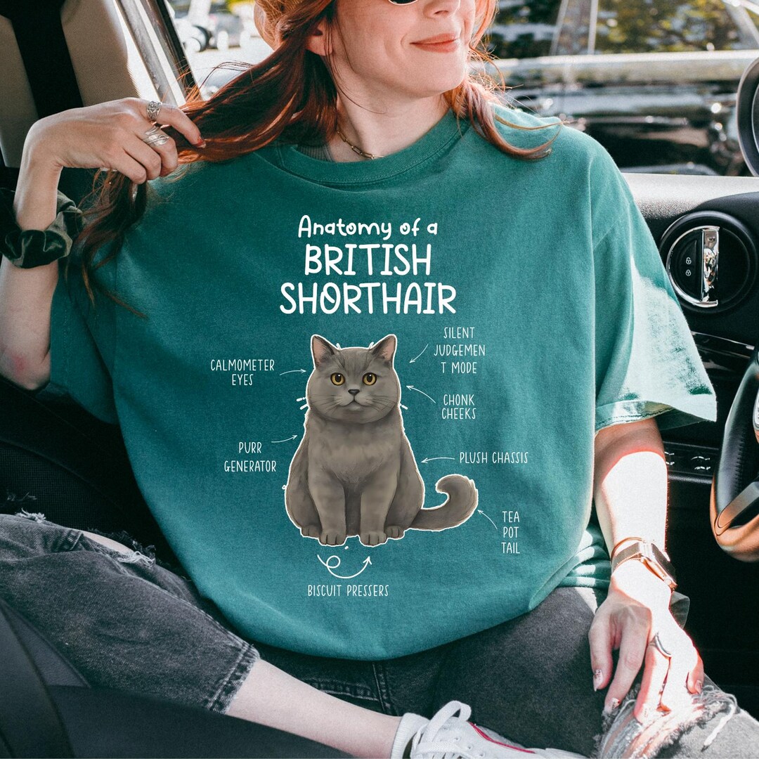 Anatomy of British Shorthair Cat Shirts, Cat Lovers Gift, E973 - Etsy