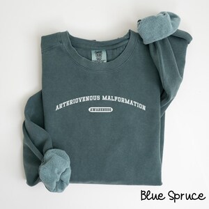 Arteriovenous Malformation Awareness Sweatshirt, Arteriovenous Shirt ...