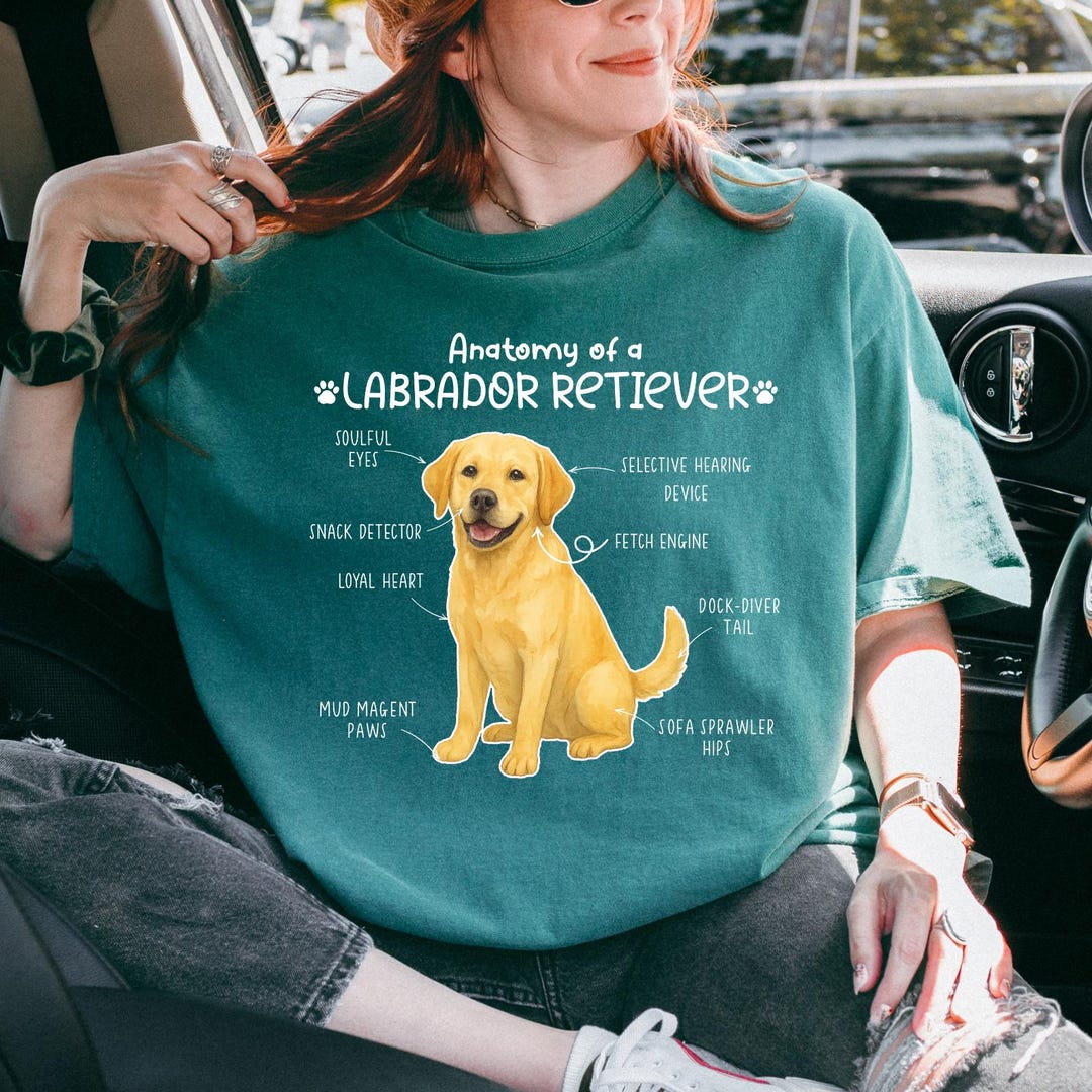 Anatomy of A Labrador Retriever Shirt, Yellow Lab Shirt, Dog Lover Gift ...
