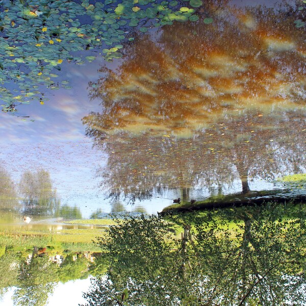 Lake Water Abstract Photo - Etsy