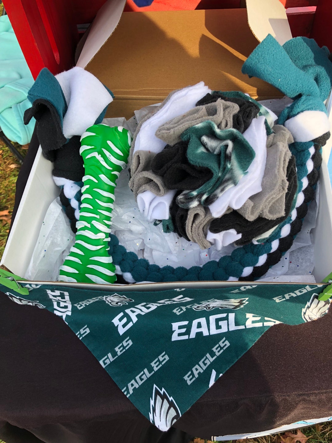 Philadelphia Eagles Themed Gift Box for Dogs (includes Bandana, Tug Toy ...