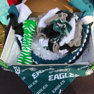 Philadelphia Eagles Themed Gift Box for Dogs (includes Bandana, Tug Toy ...