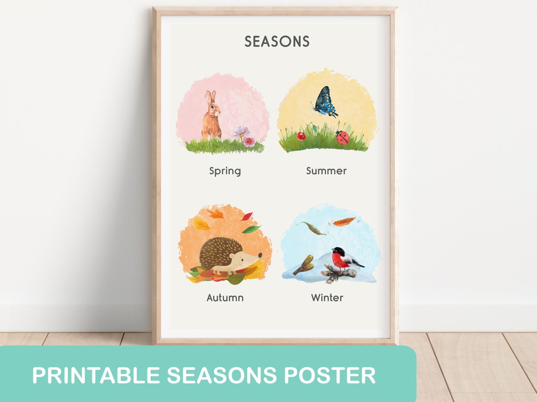Kids Seasons Visual Educational Montessori Everyday Learning Bedroom ...