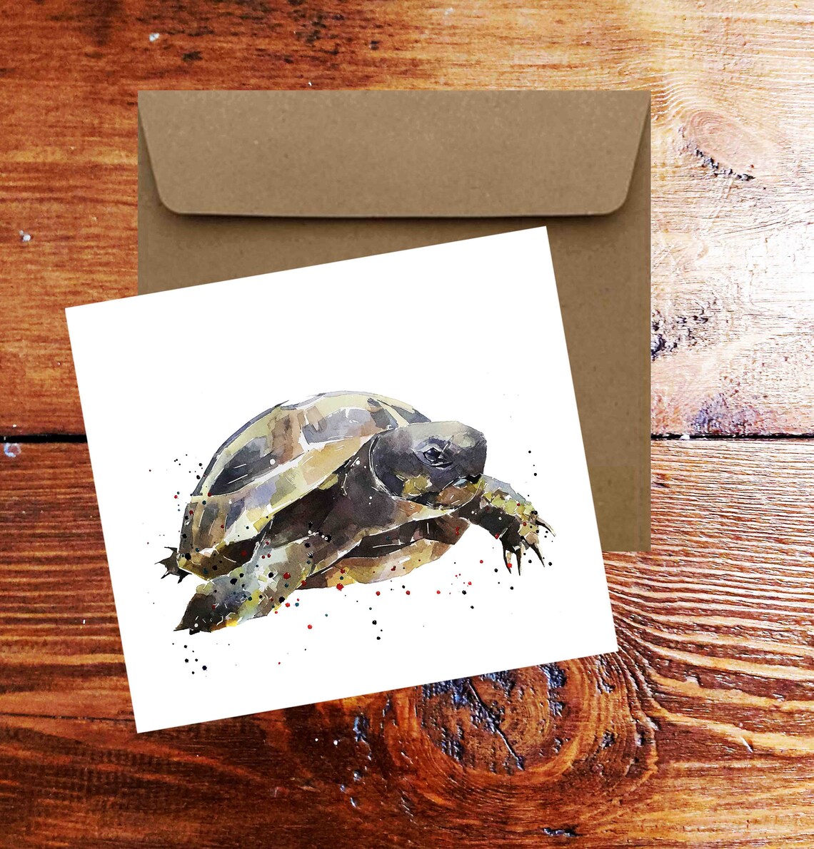 Hermann's Tortoise Greeting/note Card.tortoise Card,tortoise Greeting ...
