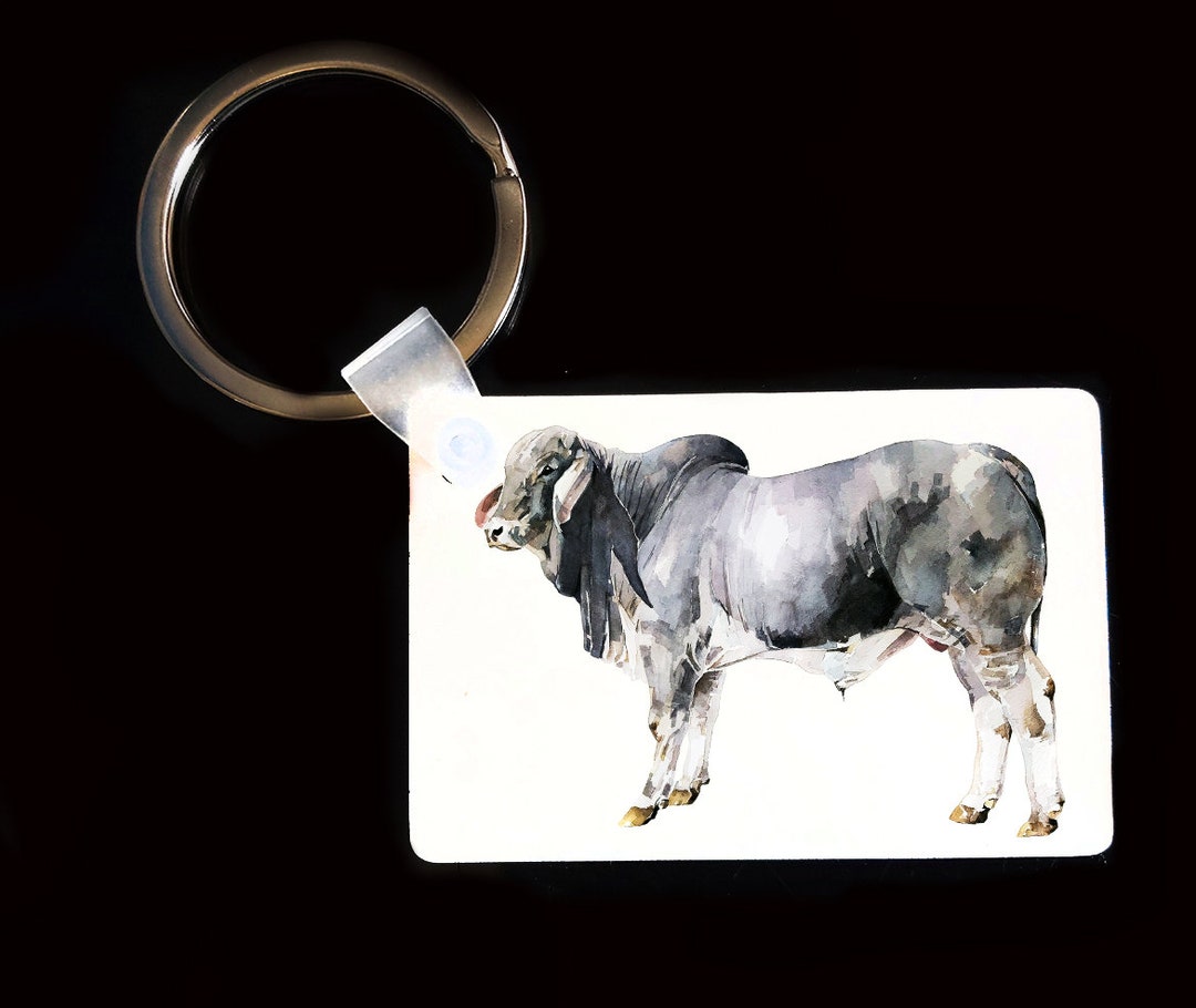 Brahman Cattle Keyrings (assorted) .brahman Cattle Art Keyring,brahman ...