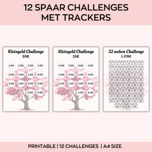 Set Challenges for Cash Stuffing, Saving Euros, Savings Games, Change ...