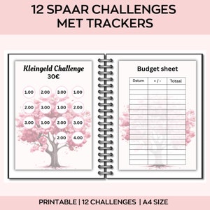 Set Challenges for Cash Stuffing, Saving Euros, Savings Games, Change ...