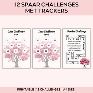 Set Challenges for Cash Stuffing, Saving Euros, Savings Games, Change ...