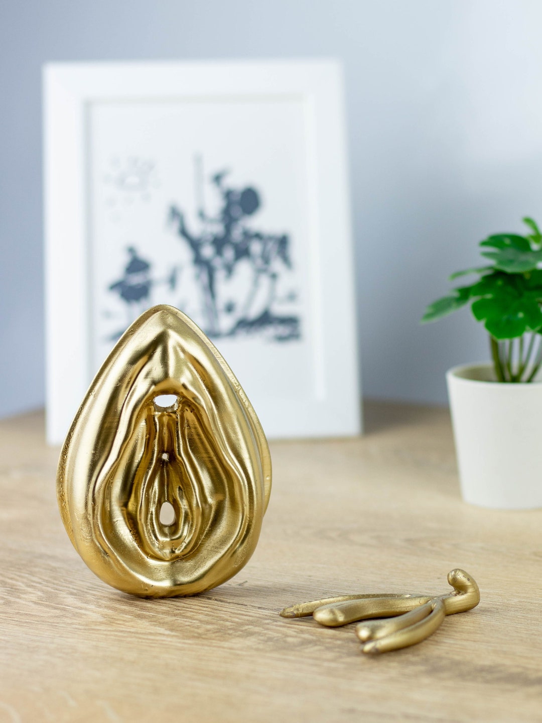 White Gold Anatomical Model Vulva Clitoris And Educational Notes 3d