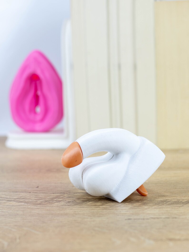 Anatomical Penis Testicle Model And Clitoris Edu Note 3d Printed Penis