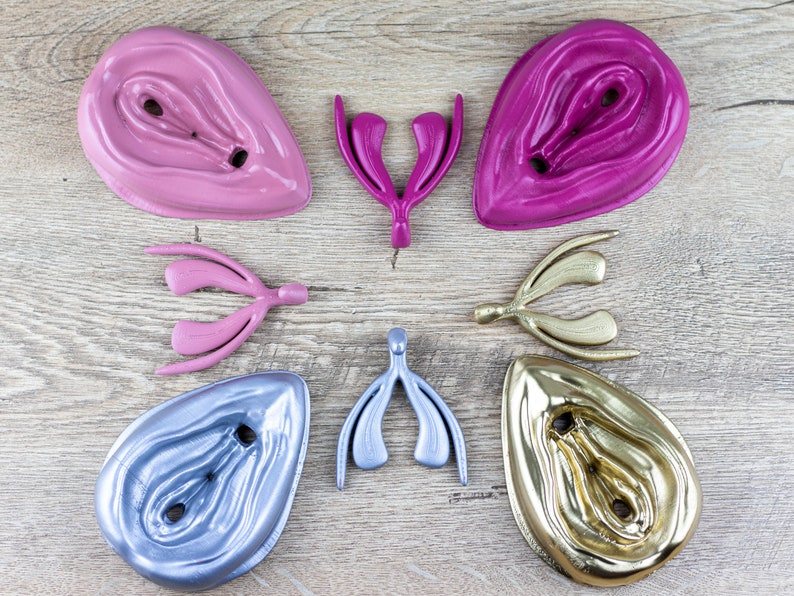 Handmade 3d Vulva Clitoris Model For Gender Education Etsy