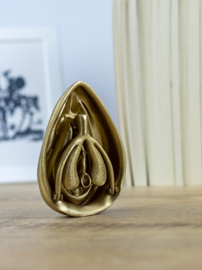 Life Size Anatomical Vagina Vulva Clitoris and Edu Notes,3d Printed ...