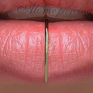 Fake Lip Ring - 14k Gold Fake Clip on Lip Jewelry - Handmade 20 Gauge ...