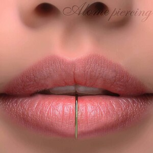 Fake Lip Ring - 14k Gold Fake Clip on Lip Jewelry - Handmade 20 Gauge ...