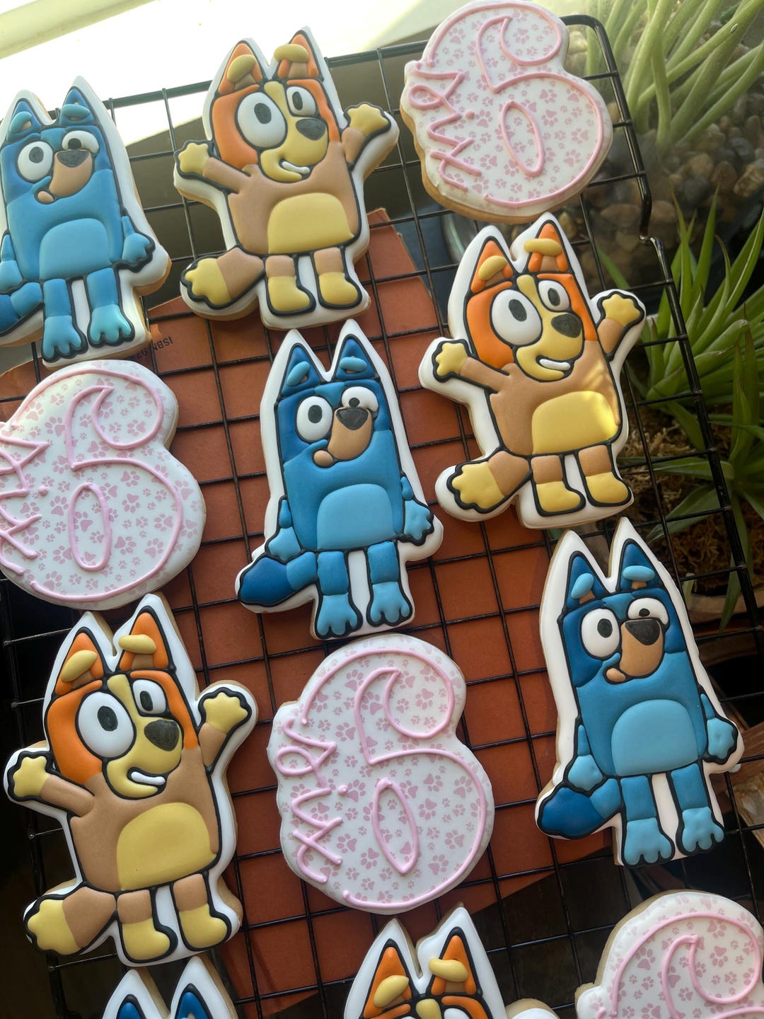 Bluey Character Cookies: Handmade Decorated Treats - Etsy