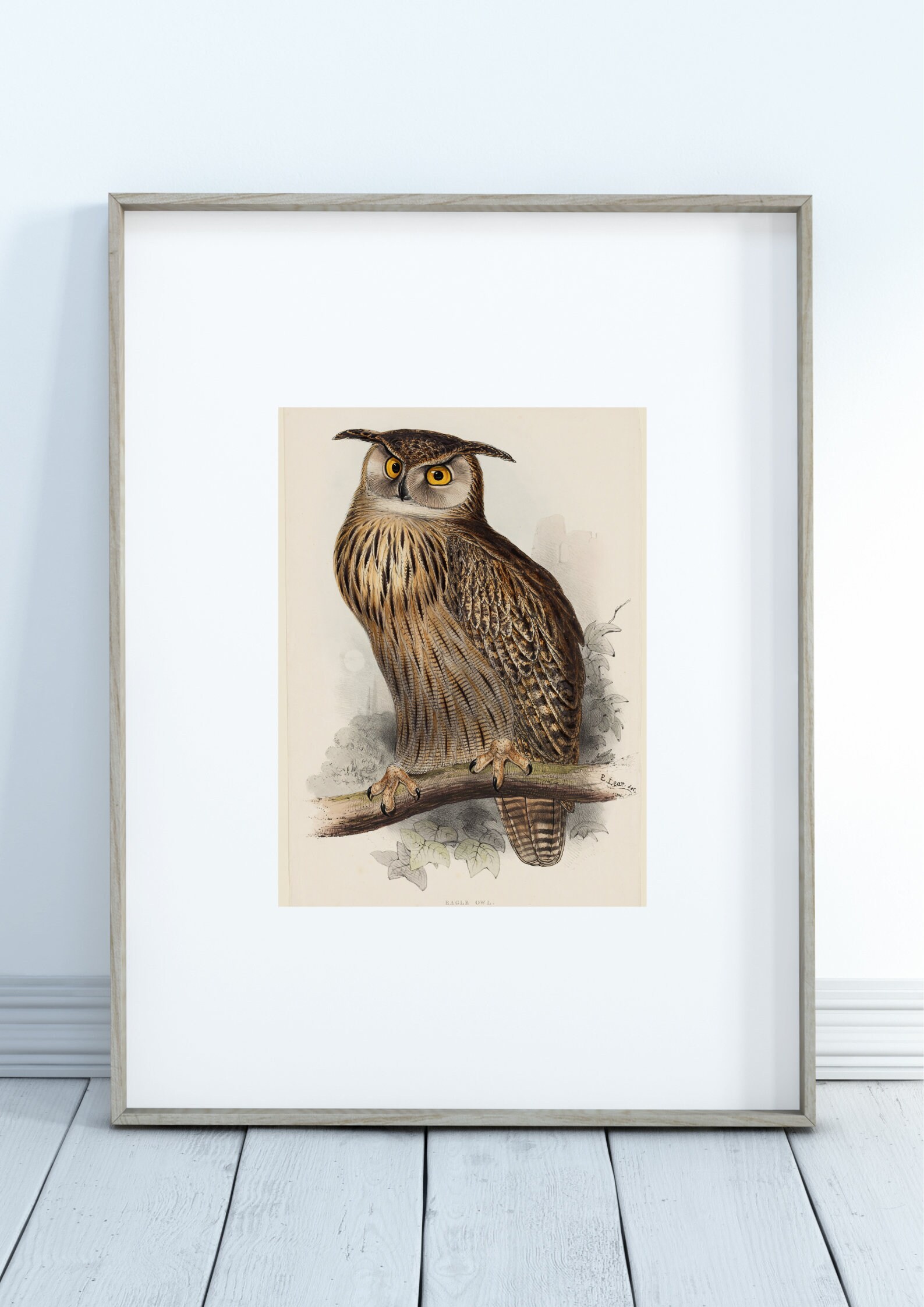 Vintage Owl Illustration / Antique Wall Decor Printable Digital ...