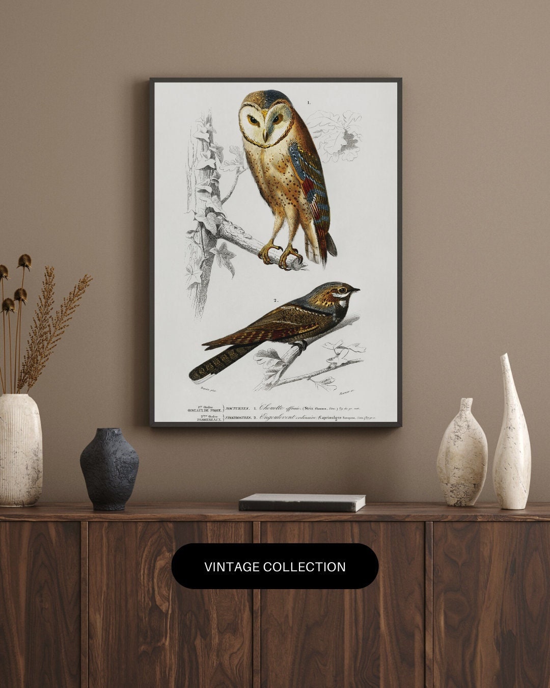 Vintage Owl Illustration / Antique Wall Decor Printable Digital ...