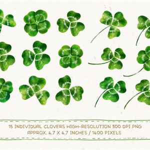 Lucky Clovers Watercolor Clip Art | St Patricks Day Clipart | Clover ...