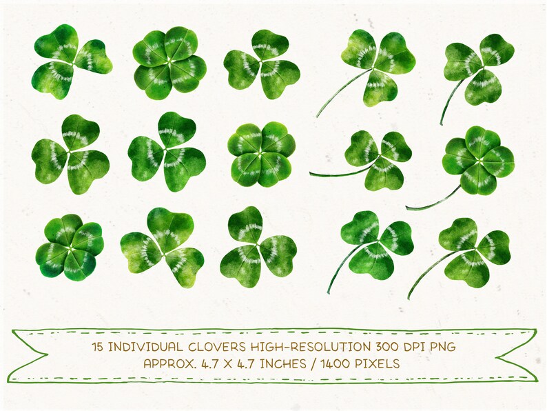 Lucky Clovers Watercolor Clip Art | St Patricks Day Clipart | Clover ...