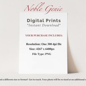 Muskogee Creek Native American Woman | Beautiful Mixed Race Female | AI ...