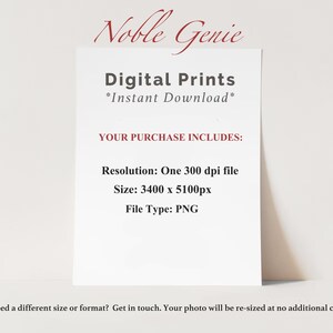 Arabian Princess AI Art Print Printable Poster Image Stock Photo PNG - Etsy