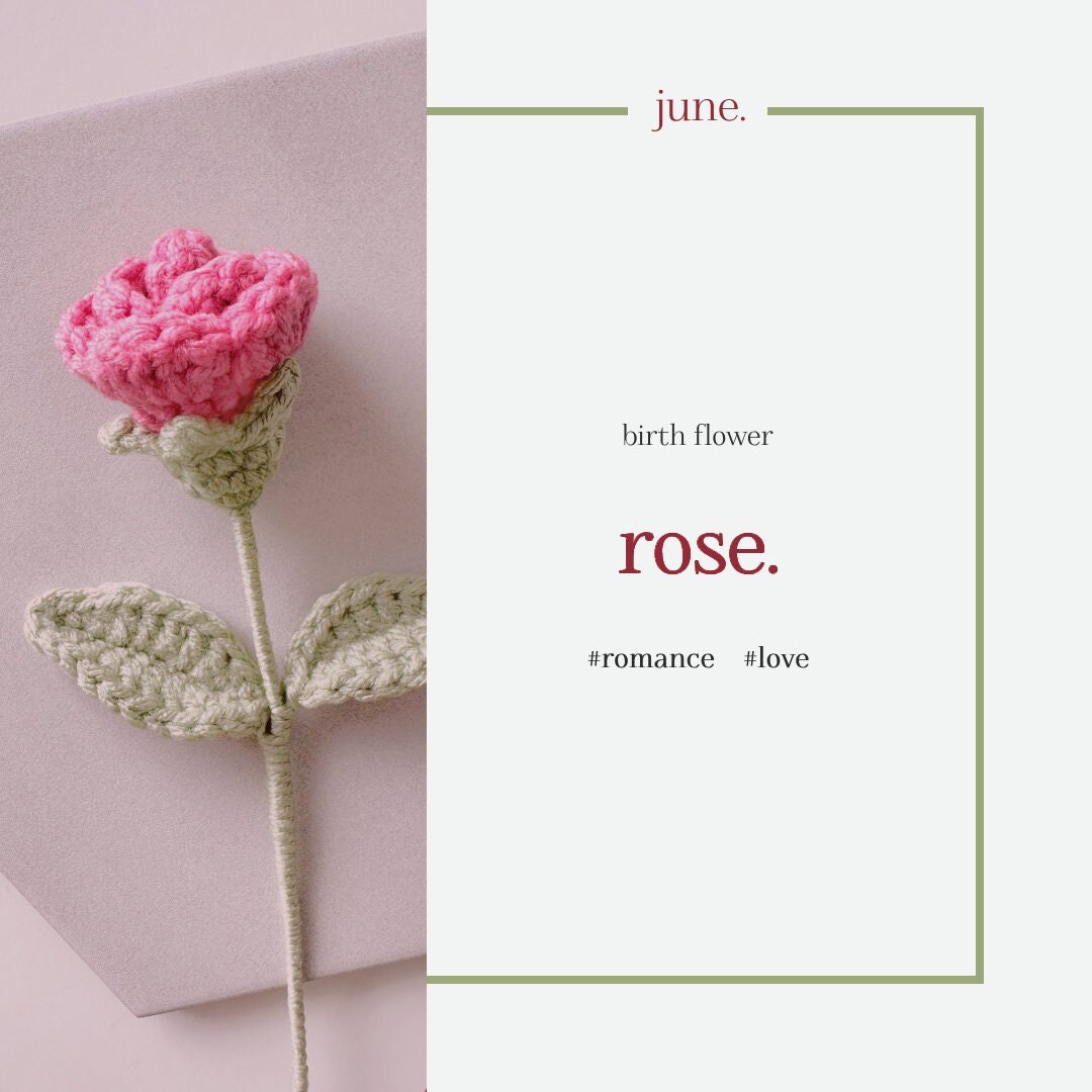 Crochet Birth Flowers Birthday Gift Crochet Rose Crochet Flowers Floral ...