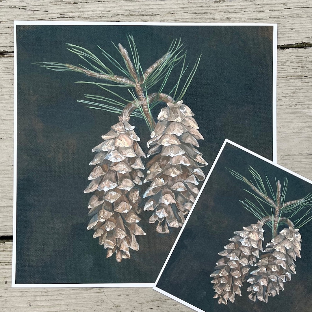 Maine White Pine Cone Print, Flower Wall Art, Floral Art, Maine Art ...