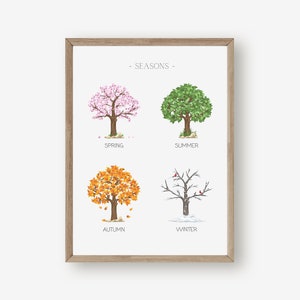 Seasons Poster - Changing Trees, Educational Poster - Etsy
