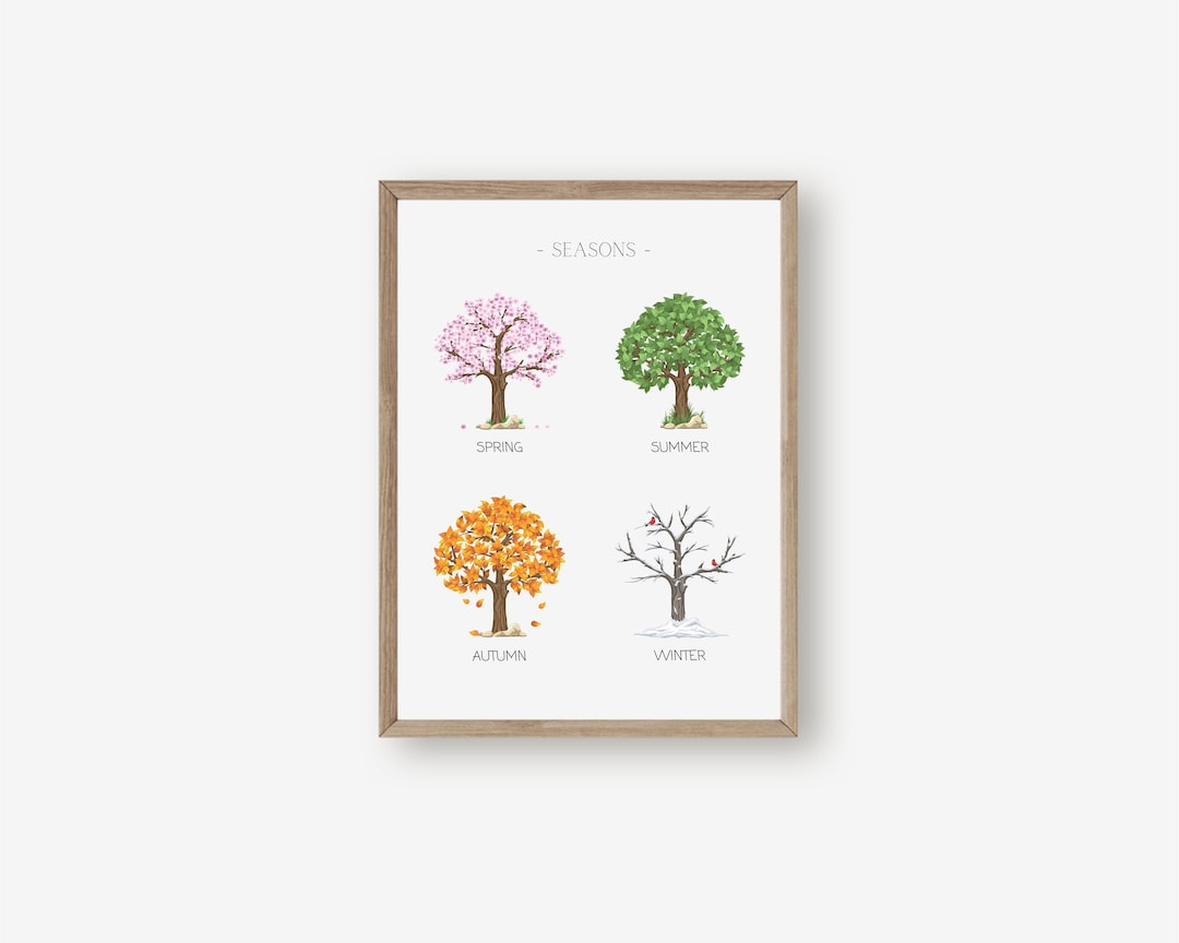 Seasons Poster - Changing Trees, Educational Poster - Etsy