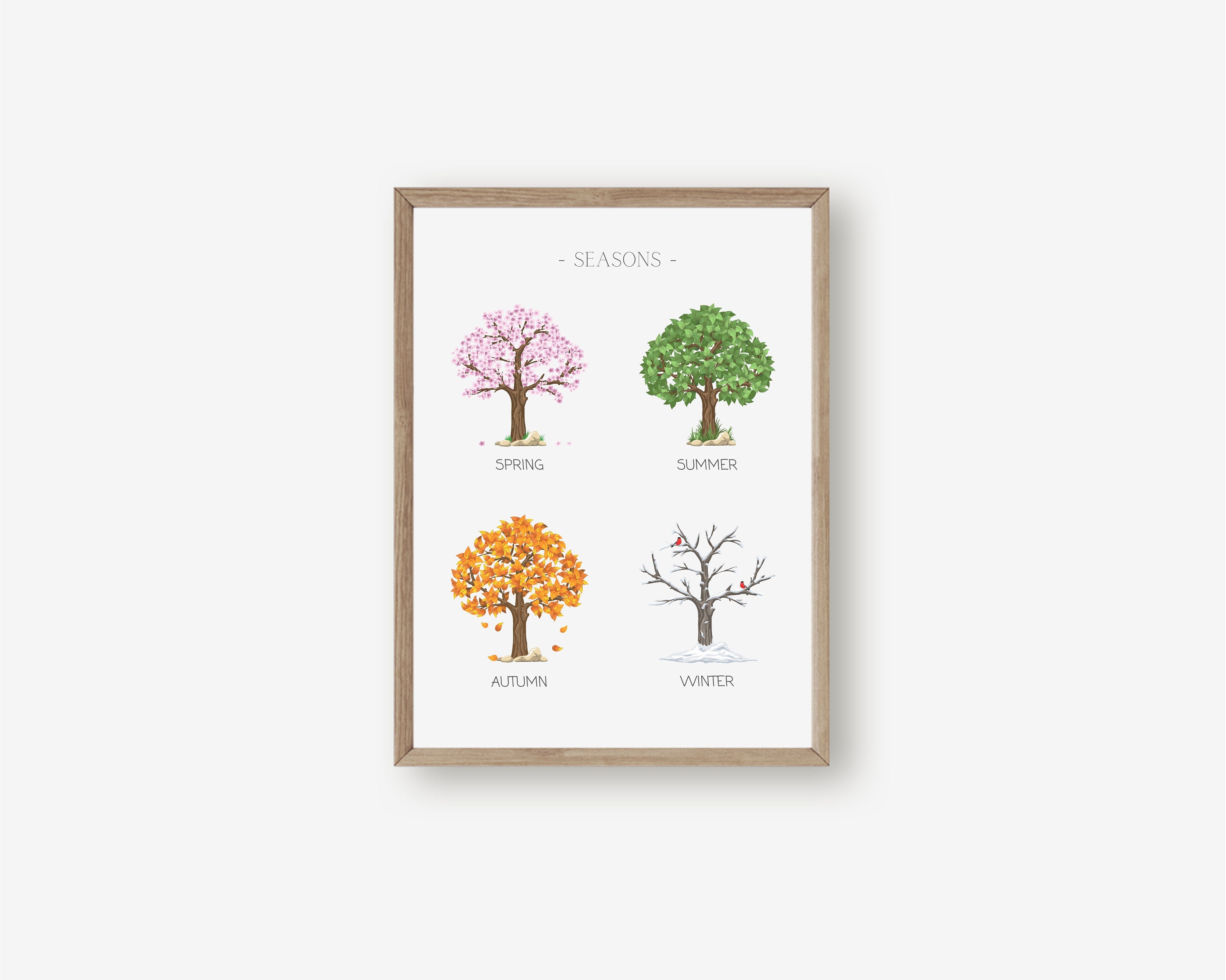 Seasons Poster - Changing Trees, Educational Poster - Etsy