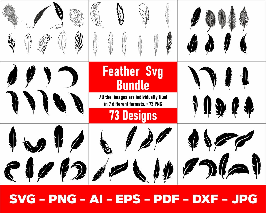 Feather Svg Bundle, Feather Birds Svg, Dxf, Png, Jpg, Feathers ...