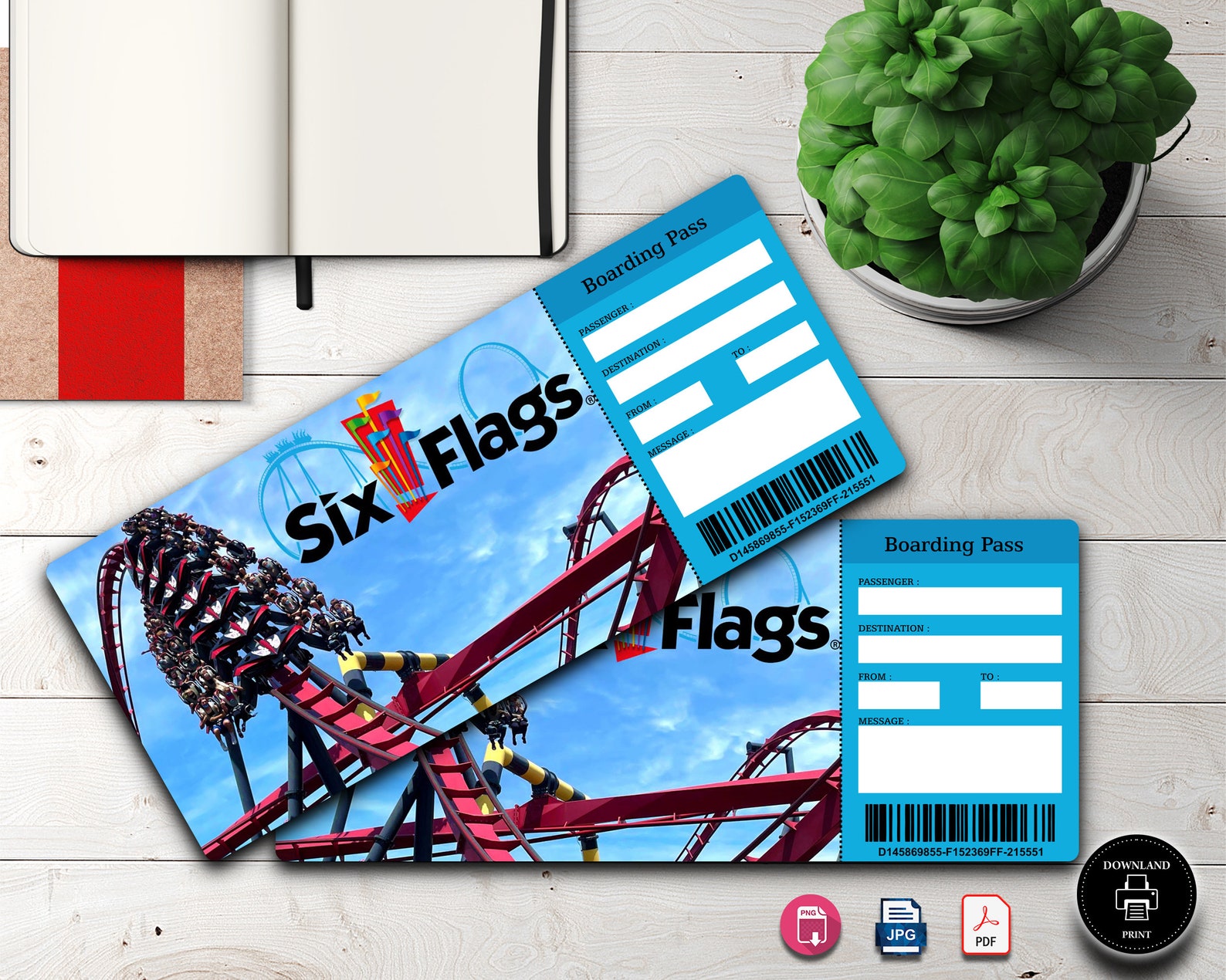 SIX FLAGS Surprise Gift Ticket. Boarding Pass. Trip Ticket. Admission ...