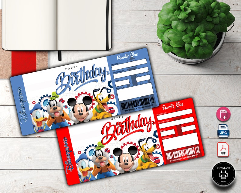 Printable Birthday Surprise Theme Park Surprise Reveal Ticket - Etsy