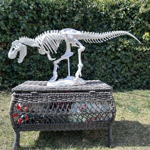 T-rex Skeleton - 3D Printed - Length: 57 Inches - Etsy