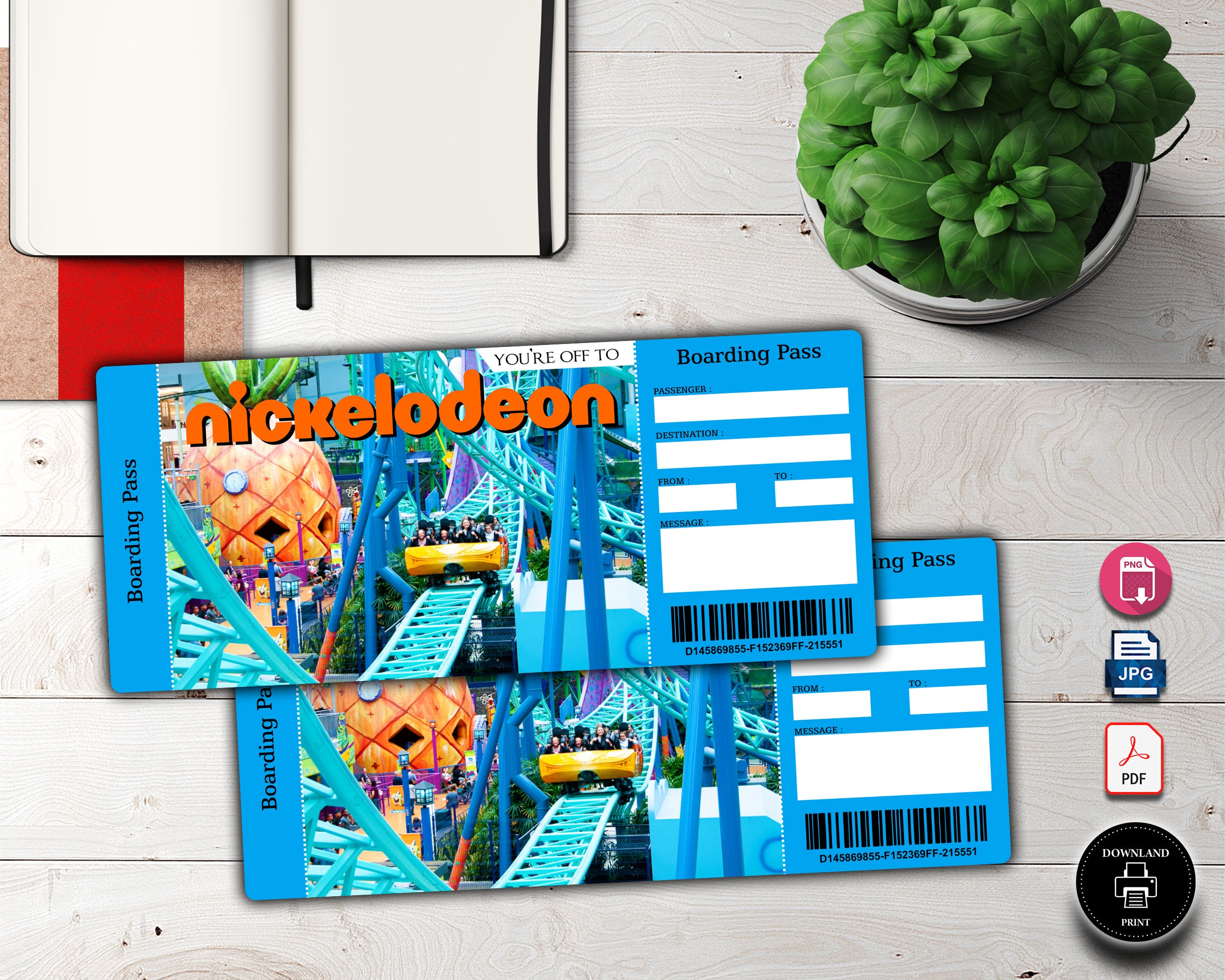 Nickelodeon Surprise Trip Ticket Nickelodeon Theme Park Gift - Etsy
