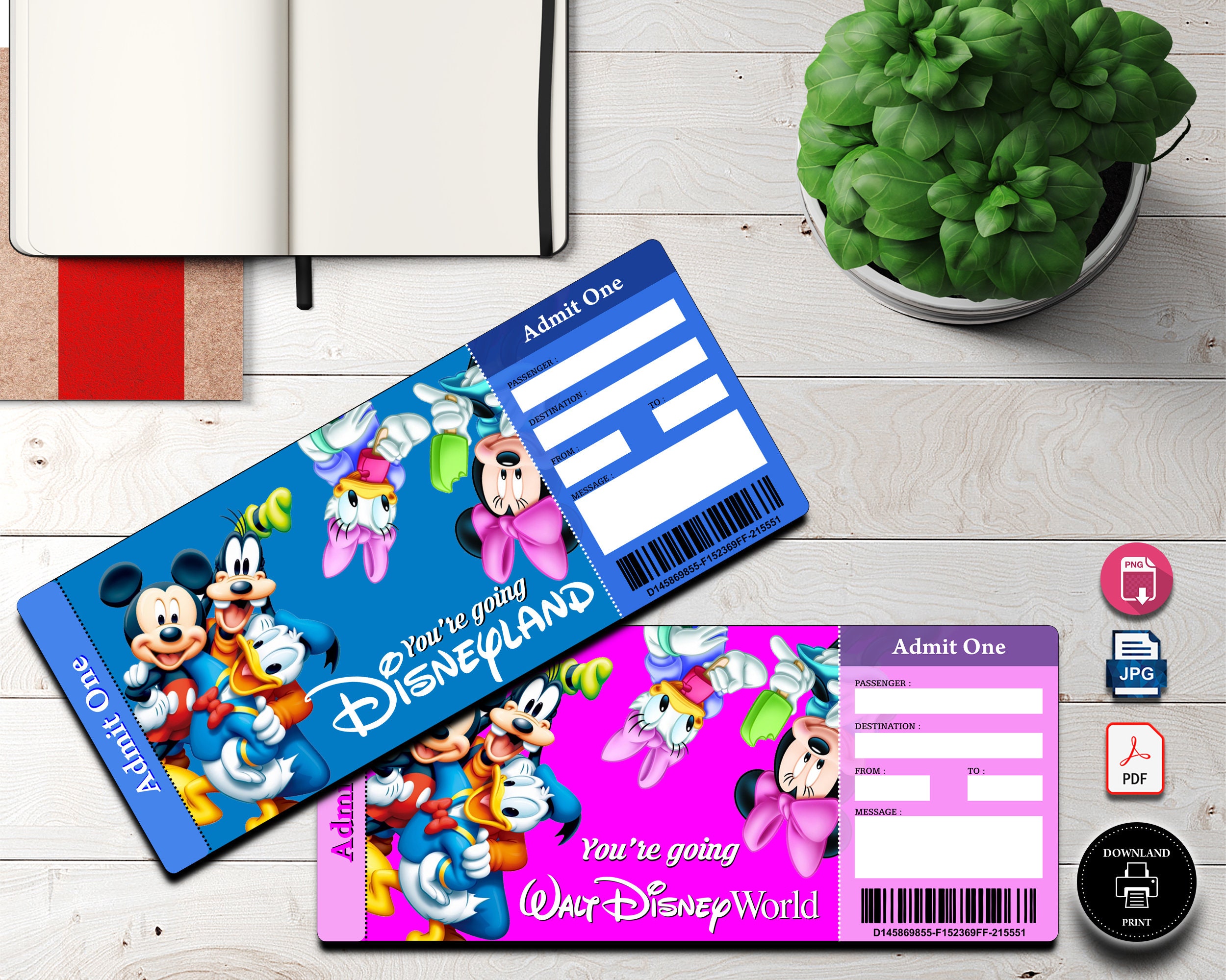 Printable Theme Park Surprise Reveal Ticket Editable Gift - Etsy