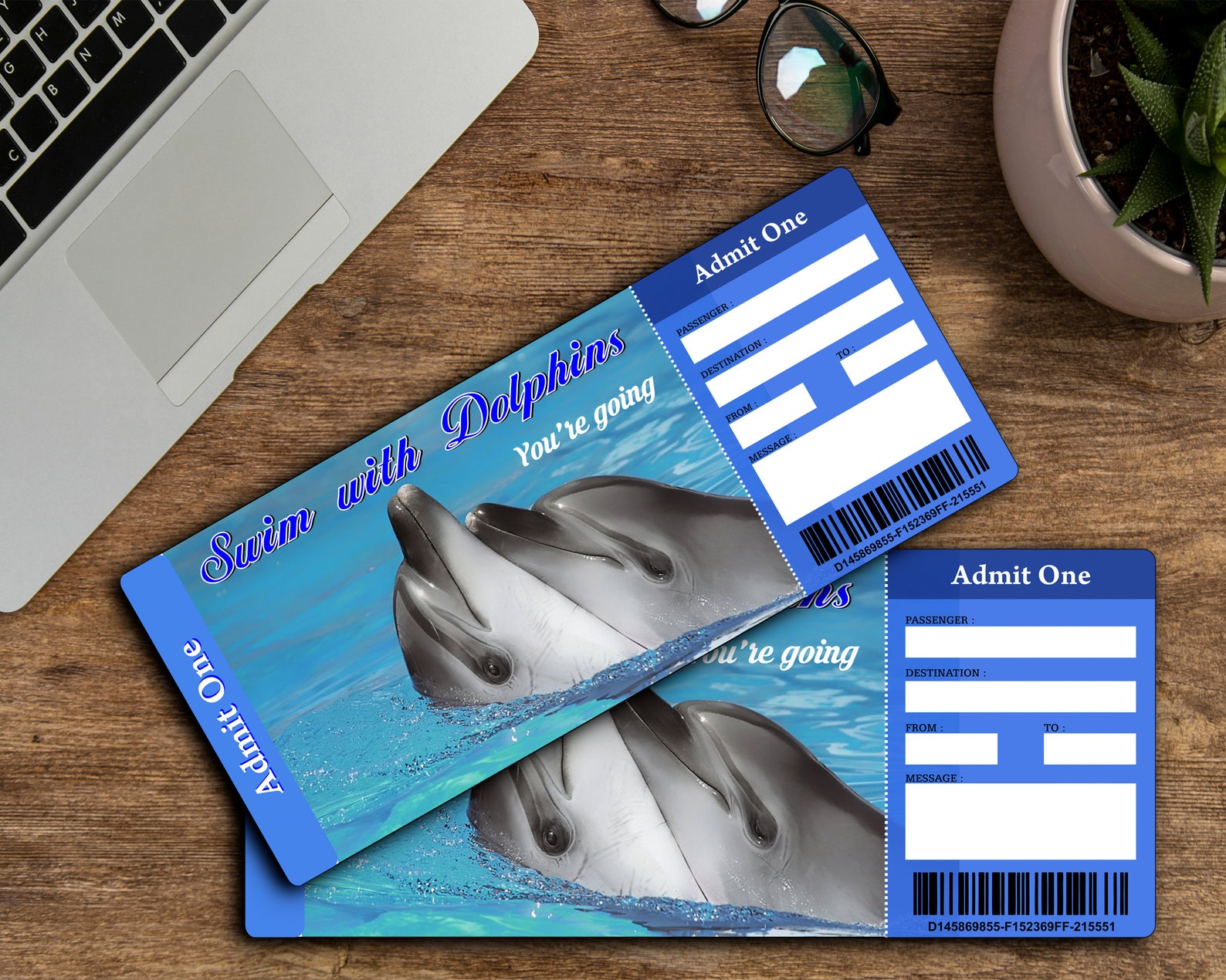 SWIM With DOLPHINS Surprise Trip Tickets. Vacation Ticket. - Etsy