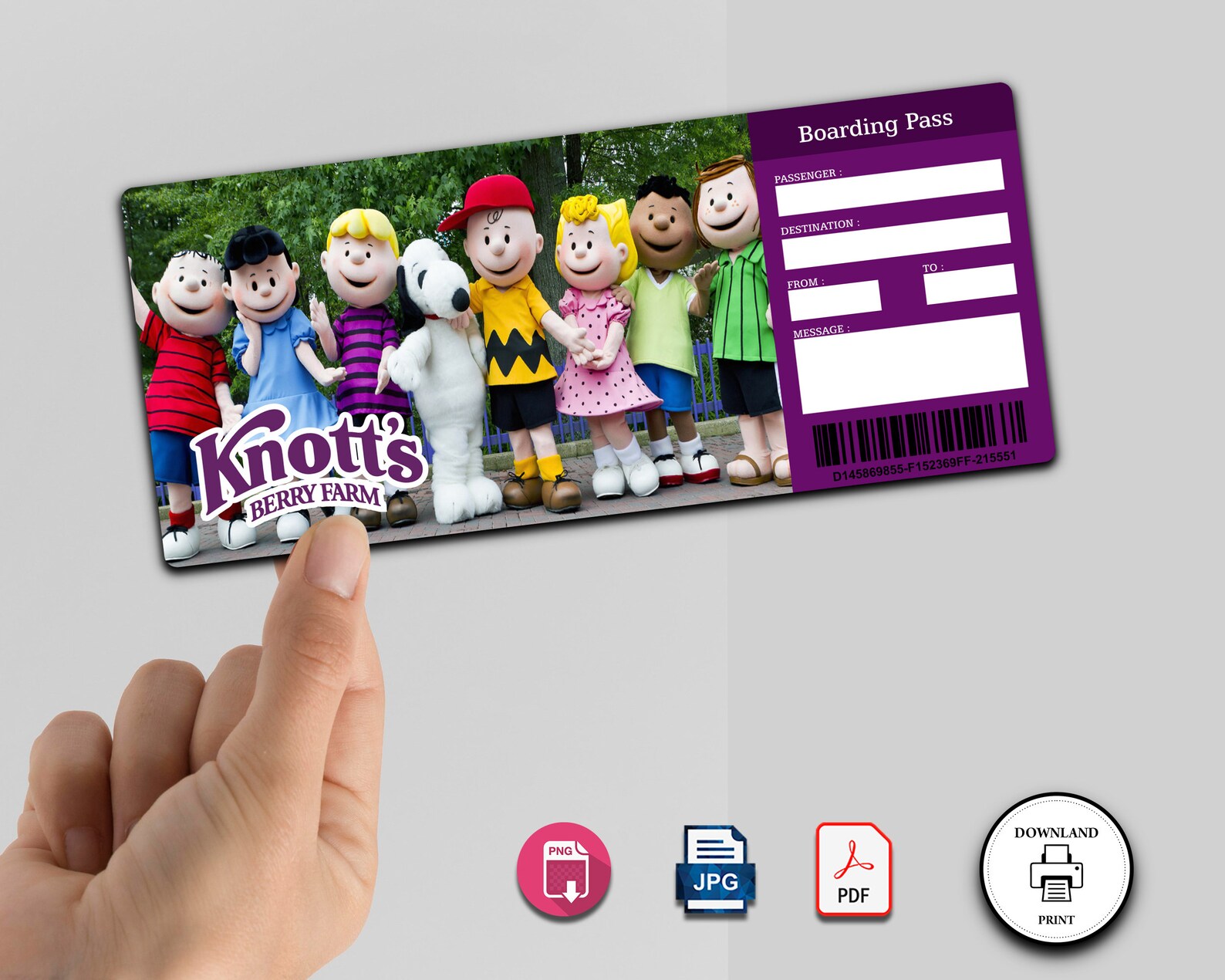 KNOTTS BERRY FARM Surprise Trip Tickets. Vacation Ticket. Mock Boarding ...