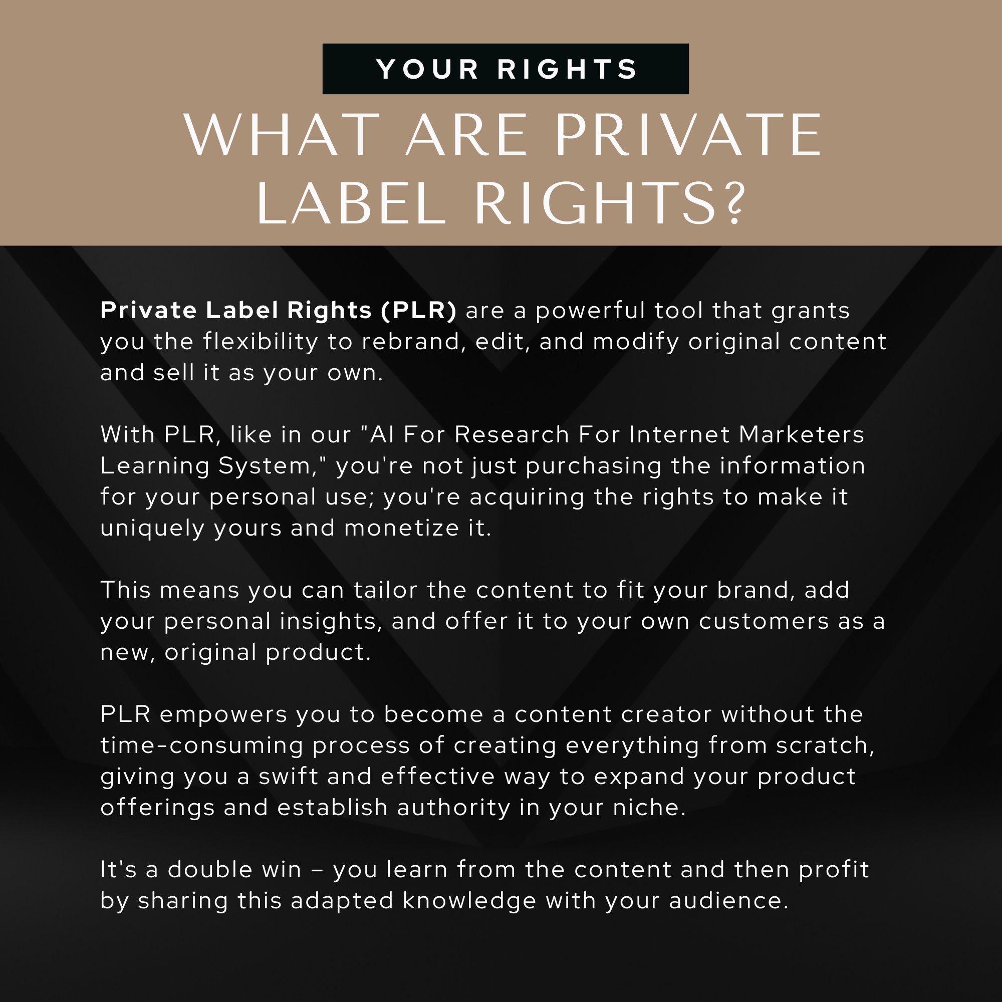 The AI for Research DFY Workshop Bundle With Private Label Rights ...
