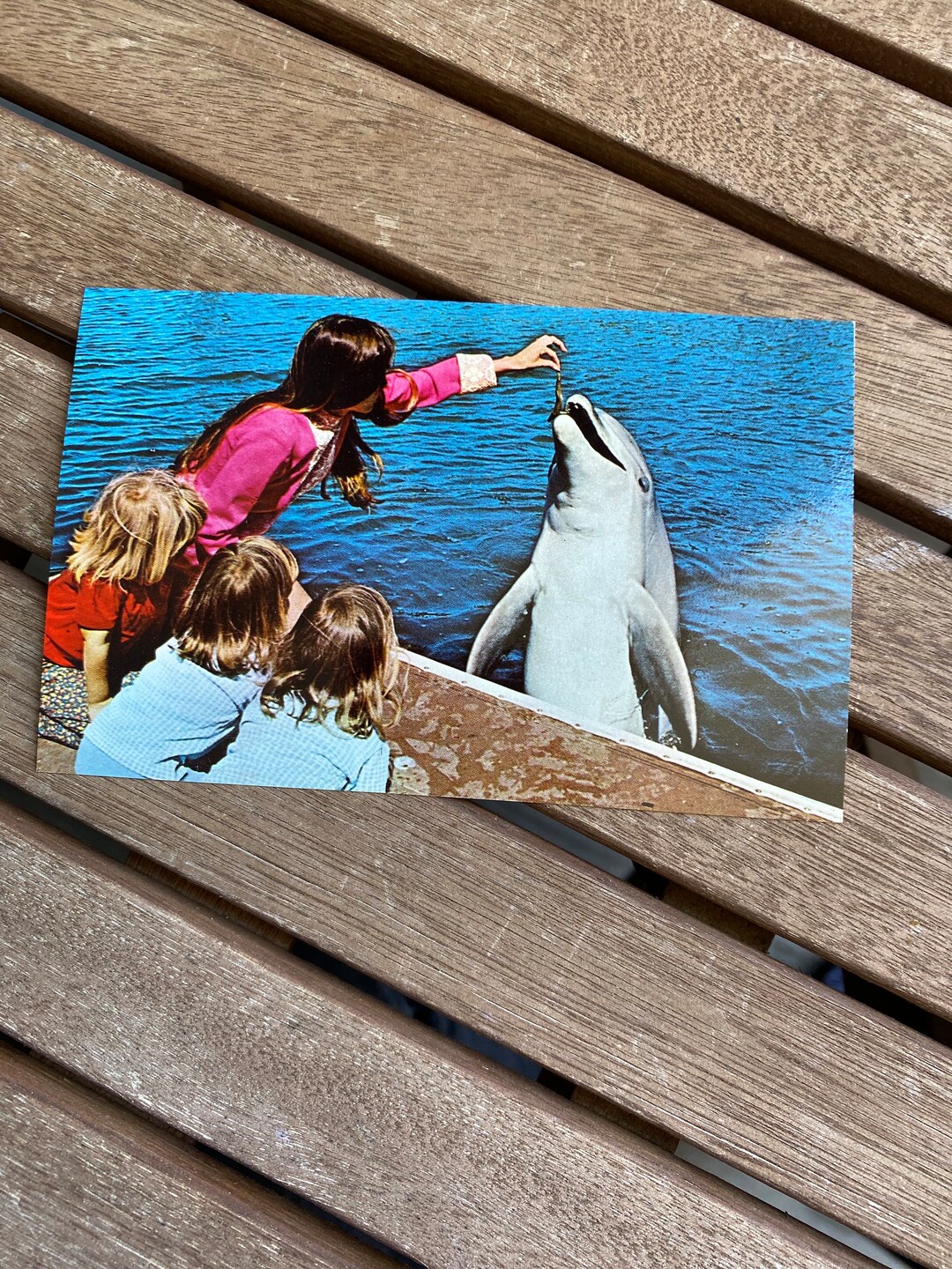 Seaworld San Diego Vintage Postcard - Etsy