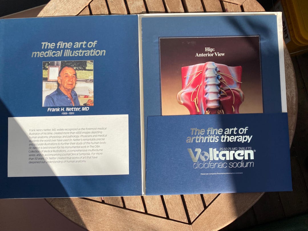 The Art of Medicine Frank Henry Netter Hip Medical Illustration ...