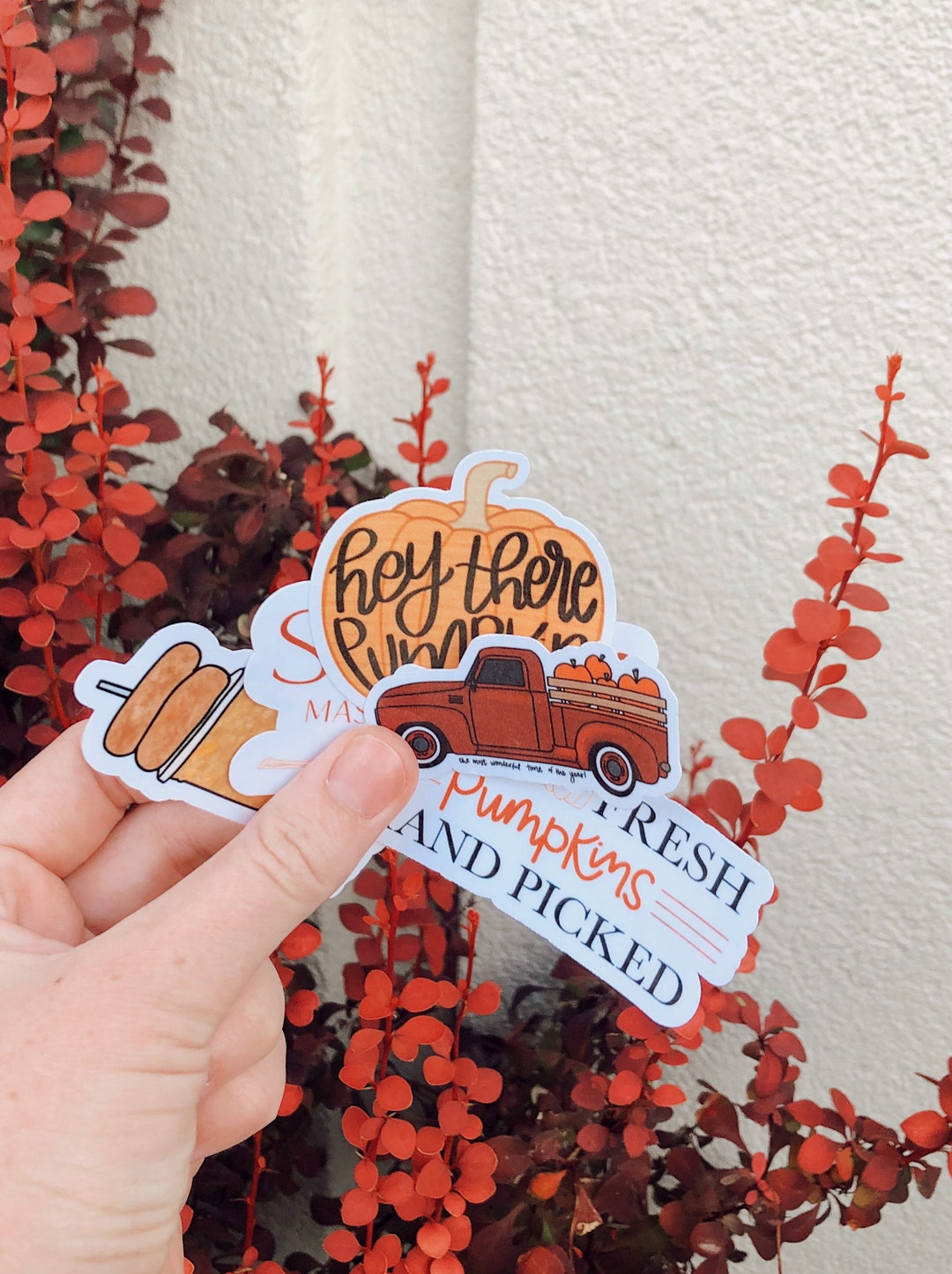 Fall Favorites Sticker Bundle Fall Themed Sticker Pack. - Etsy