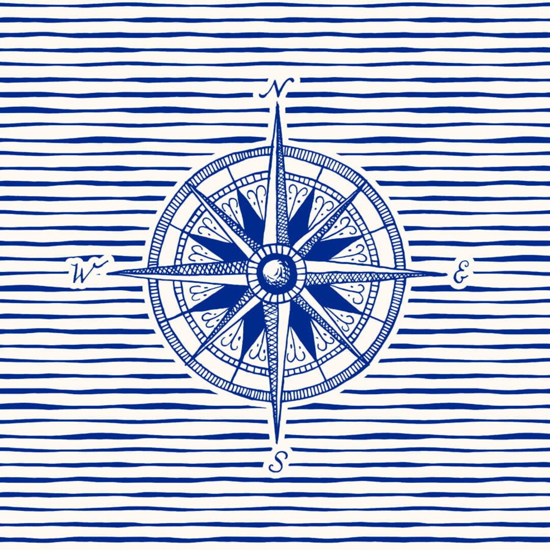 Wind Rose Velvet Panel 47x47cm / 18.5x18.5 Bajric for a Pillowcase - Etsy