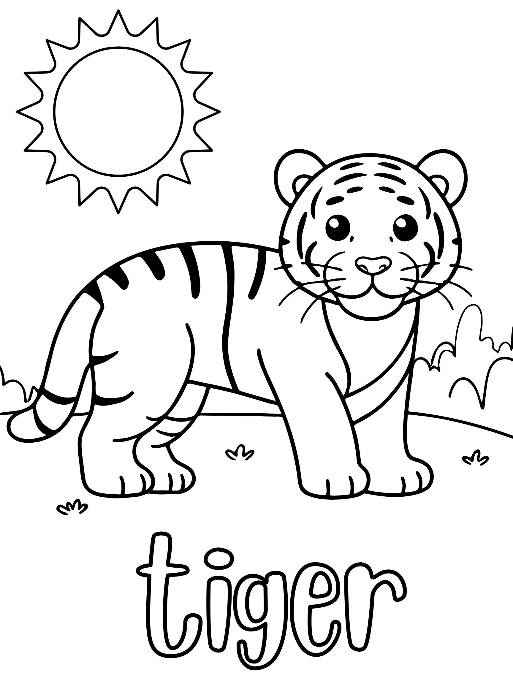 Tiger Coloring Page, DIGITAL DOWNLOAD, Printable Coloring Page - Etsy